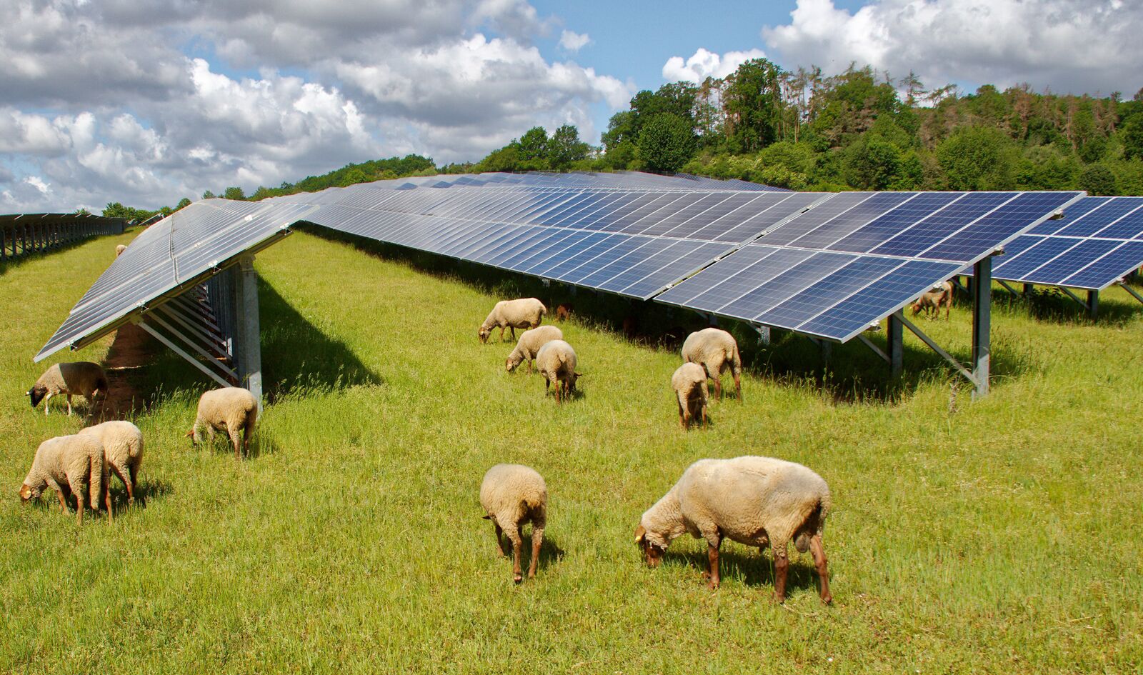 Leistungen - mnprojects