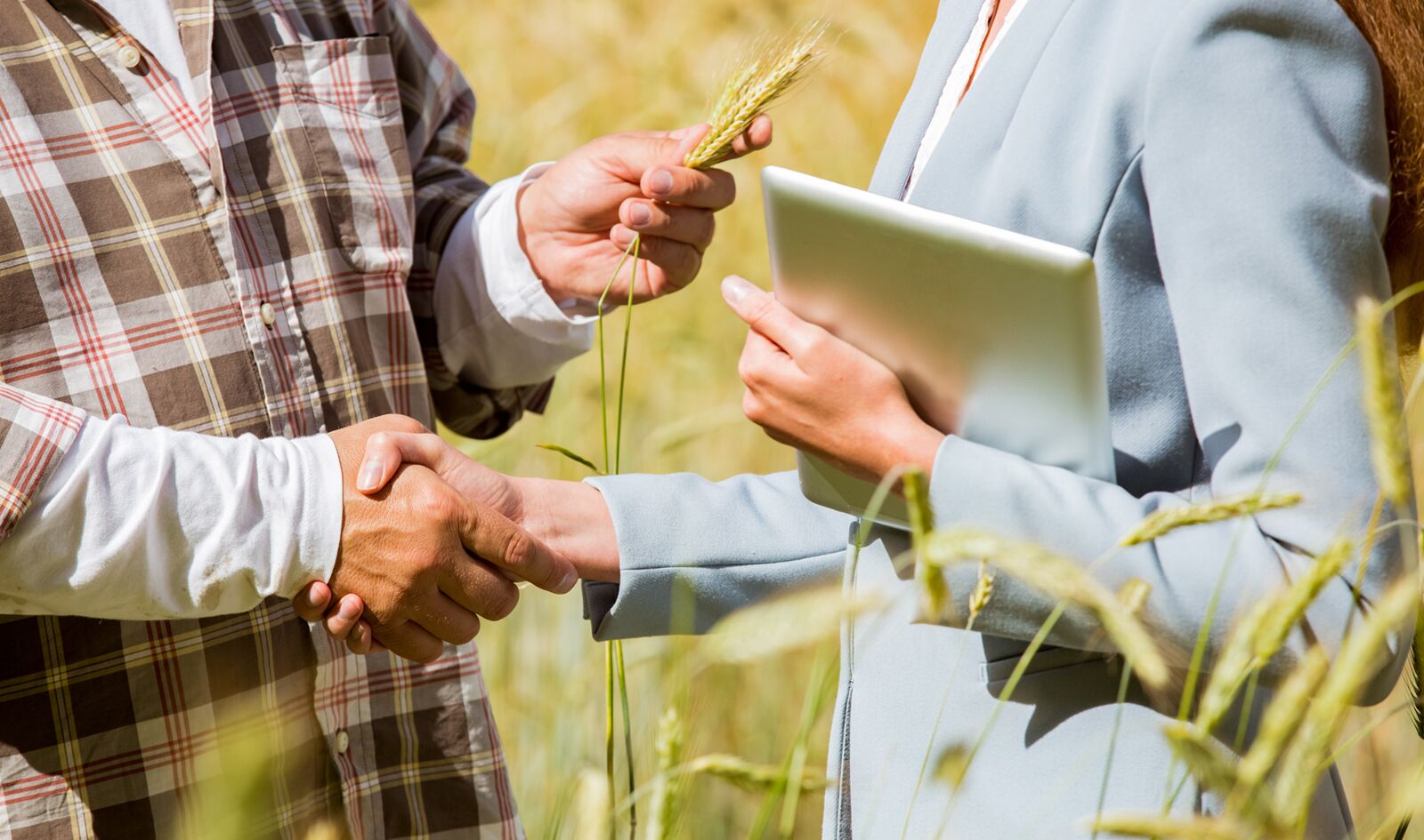 Anfrage Flächeneigentümer - mnprojects