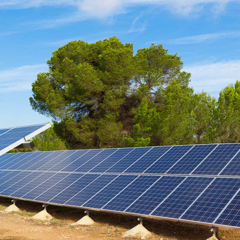 Startseite - mnprojects